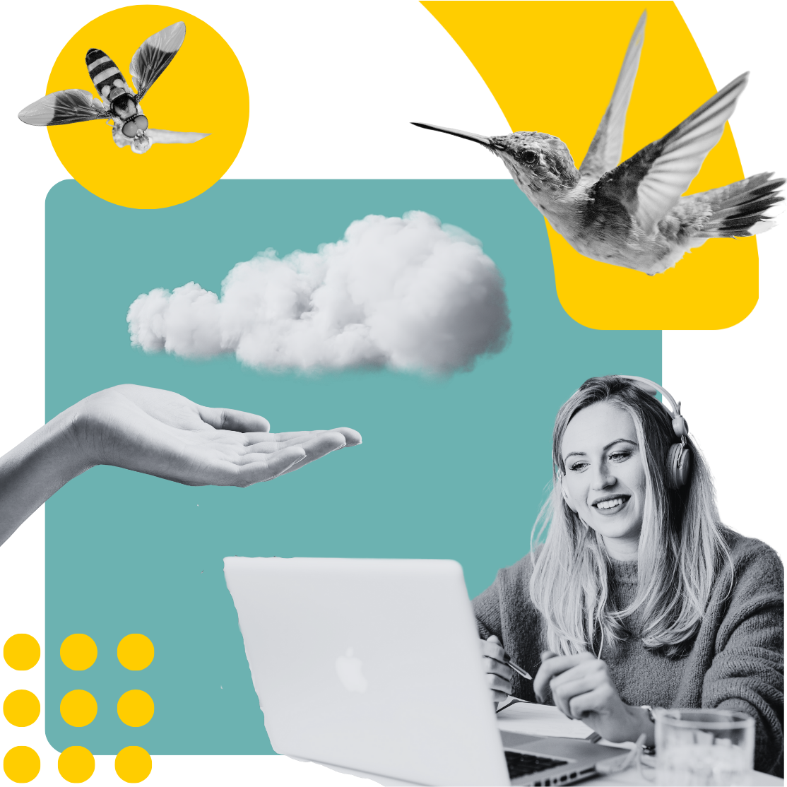 Hoverfly Cloud | API Simulation & Service Virtualisation